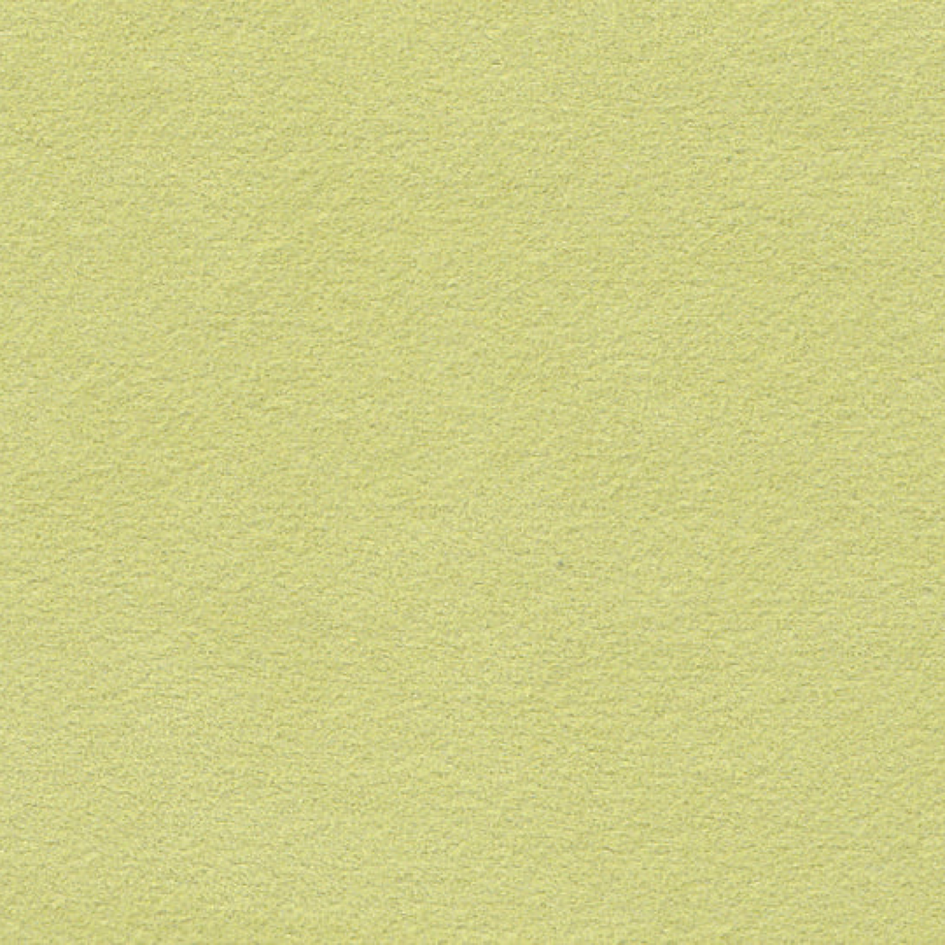 Alcantara Lime Tree – Piloto Project