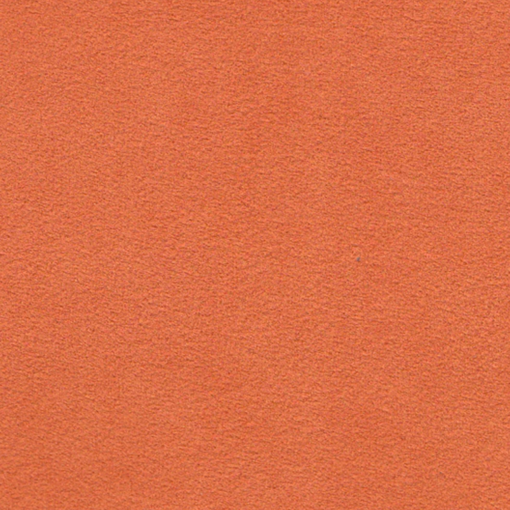 Alcantara Mango – Piloto Project